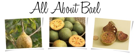 The Earth of India: All About Bael (Aegle marmelos)