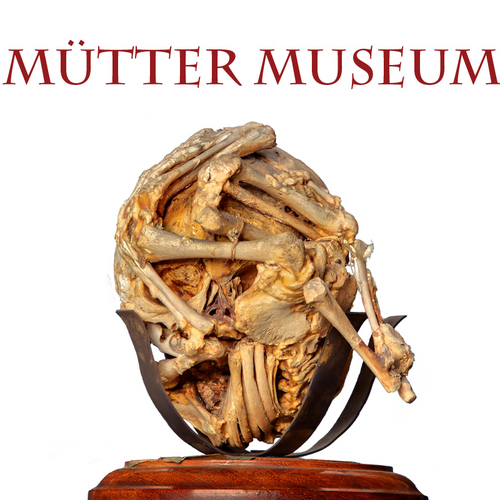 tonyface: Mutter Museum