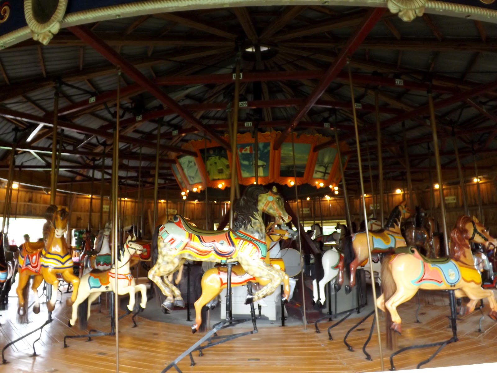 The Middle Aged Woman Who Lived in a Shoe: The Roseneath Carousel