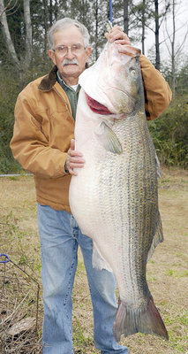 World Record White Bass