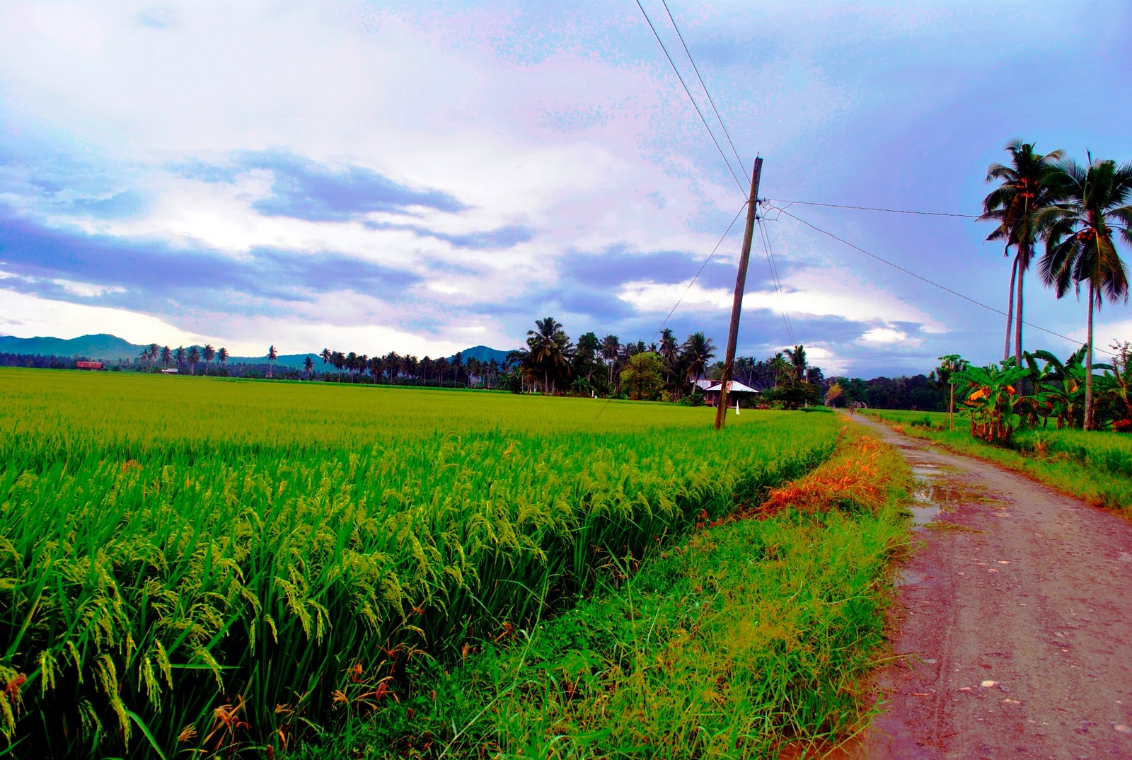 Banaybanay Picture Gallery: Banaybanay Views