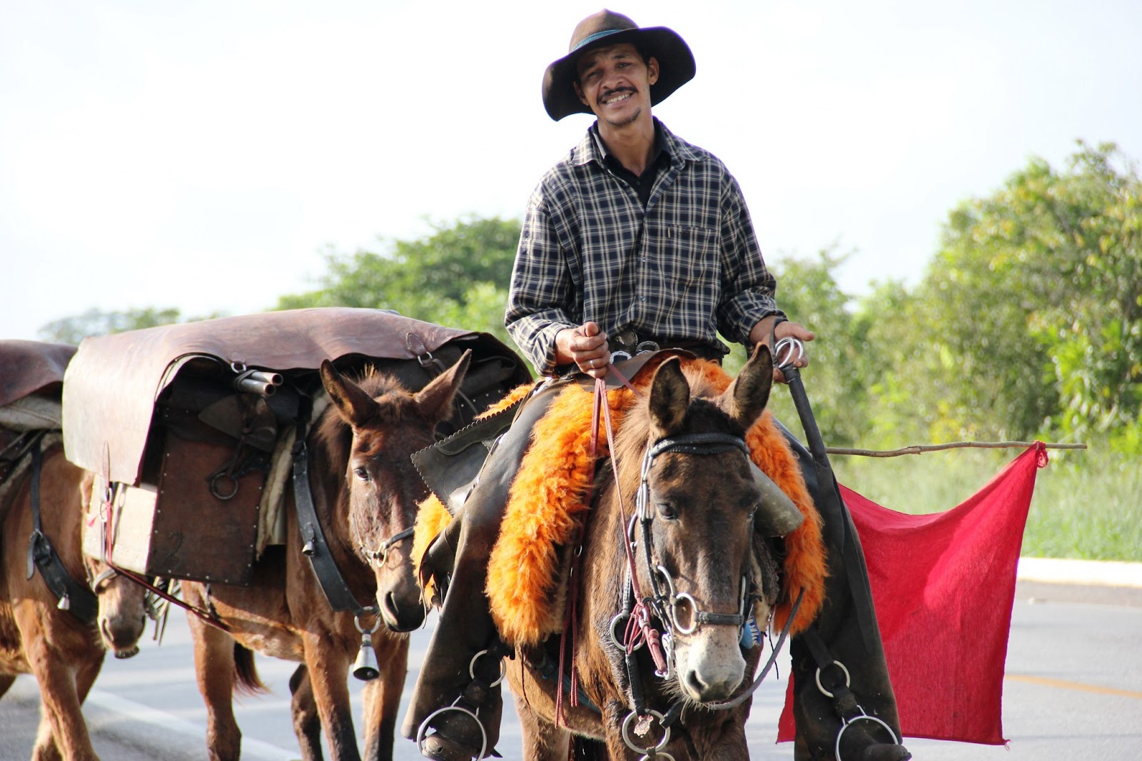 Pantanal do Miranda * Fazenda San Francisco * Pousada e Passeios no ...