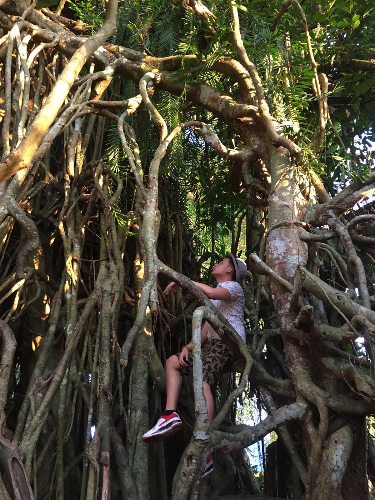 Mystique Beauty of Baler, Aurora Philippines - WandeReview