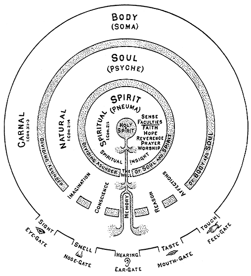 Homebrewed Theology: Book Review/Summary - The Tripartite Nature of Man ...