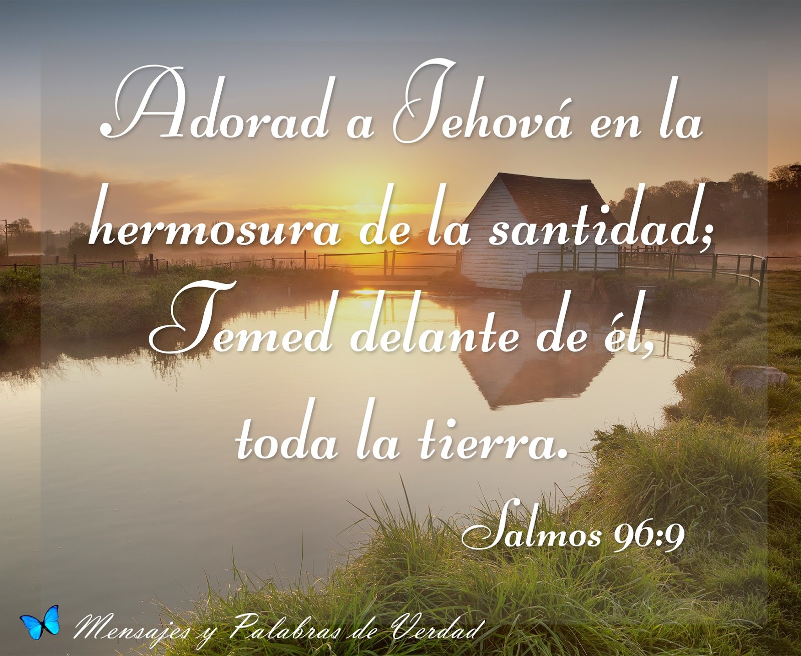 Mensajes y Palabras de Verdad: Salmos en bellas imagenes parte 3