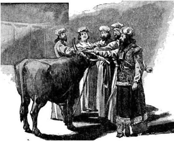 The ANVIL Newsletter: Hebrews 10 ~ I Will Put My Laws in Their Hearts!