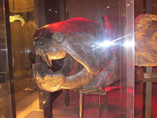 Bean's Blog: Washington DC