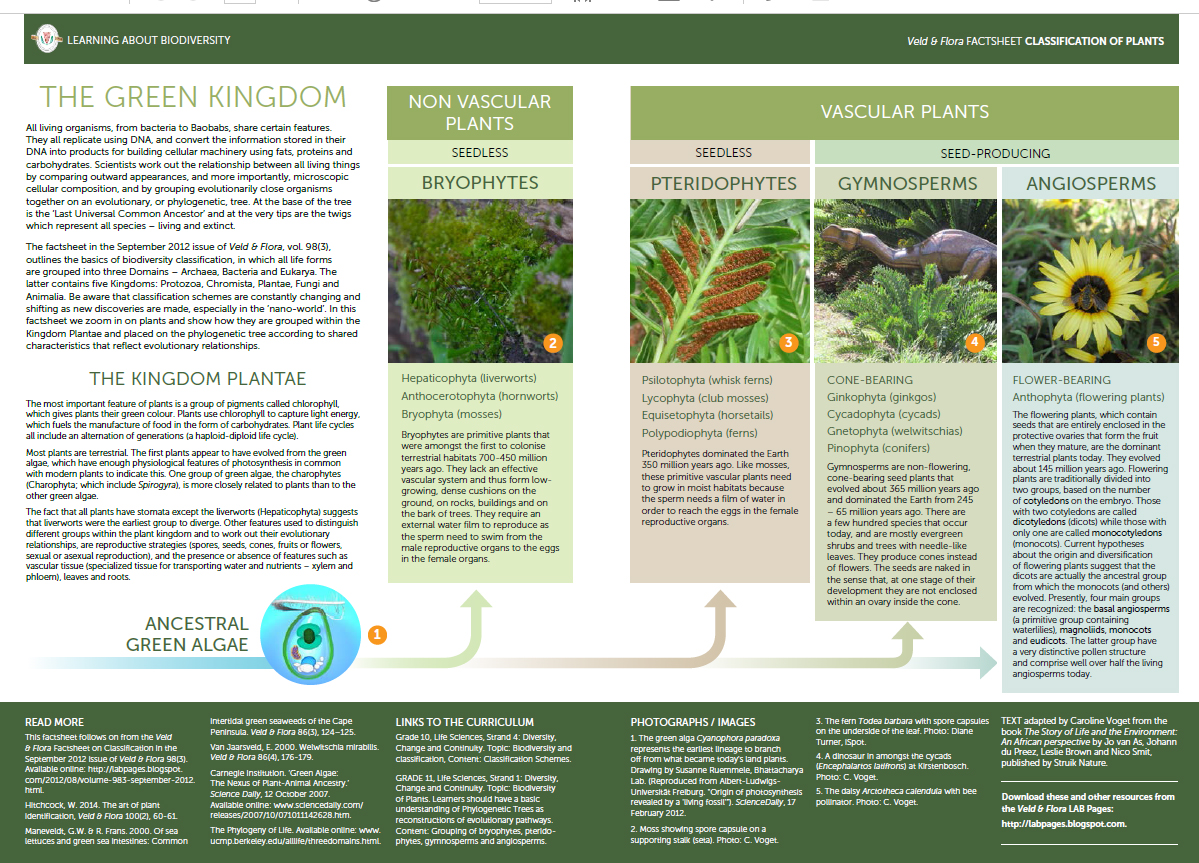 Learning about Biodiversity: The Green Kingdom