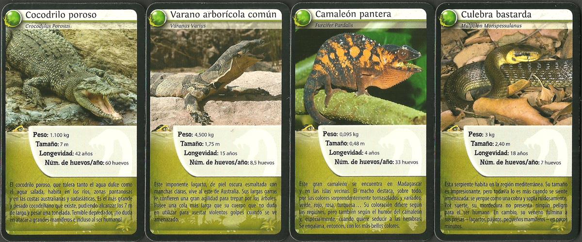 Barajas y Naipes: Reptiles