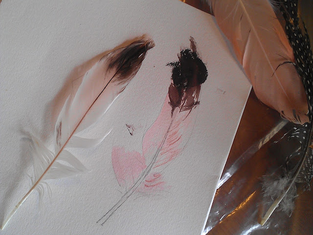 A Natural Nester: Feathers, Through the Eyes of an Artist