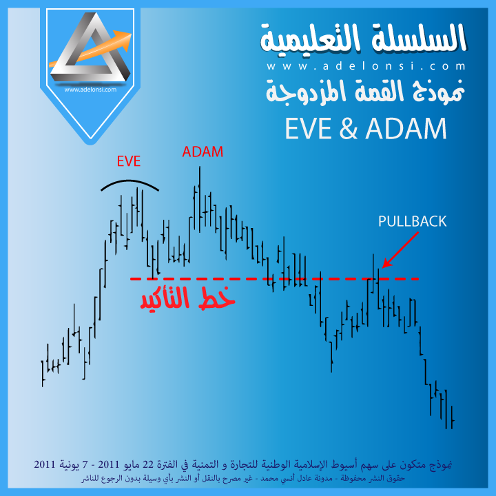 السلسلة التعليمية | النماذج الفنية | القمة المزدوجة | EVE & ADAM