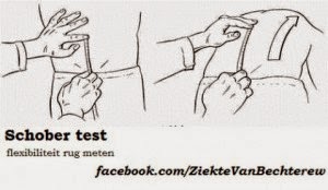 Blog Fisioterapia desde casa: PRUEBA DE SCHOBER