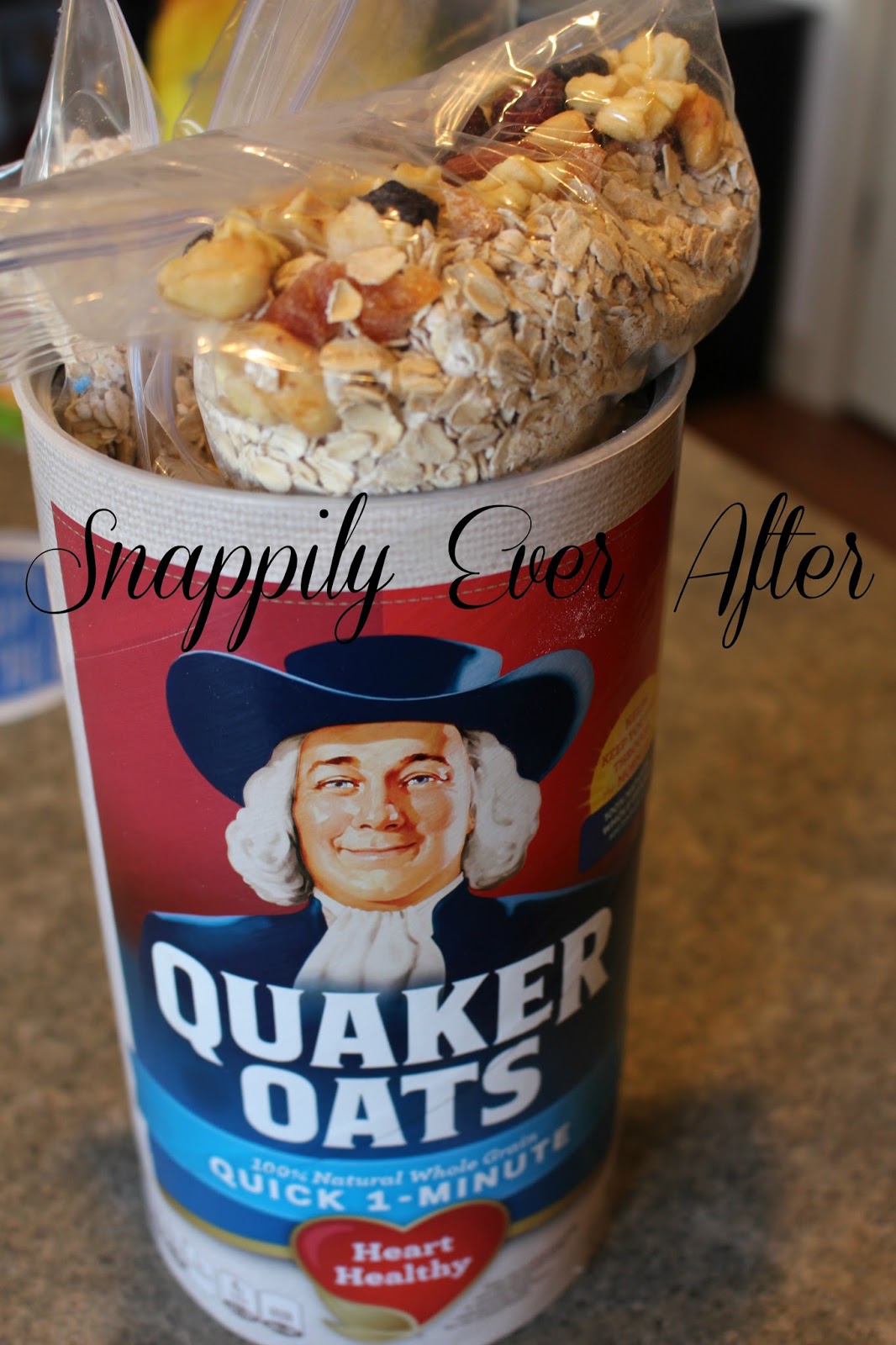 Snappily Ever After: Homemade Instant Oatmeal with Flavor Combination Ideas