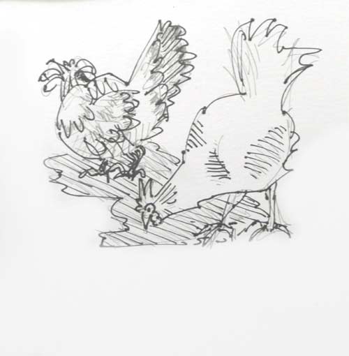 Carrie Holst: Chicken Scratch Sketch