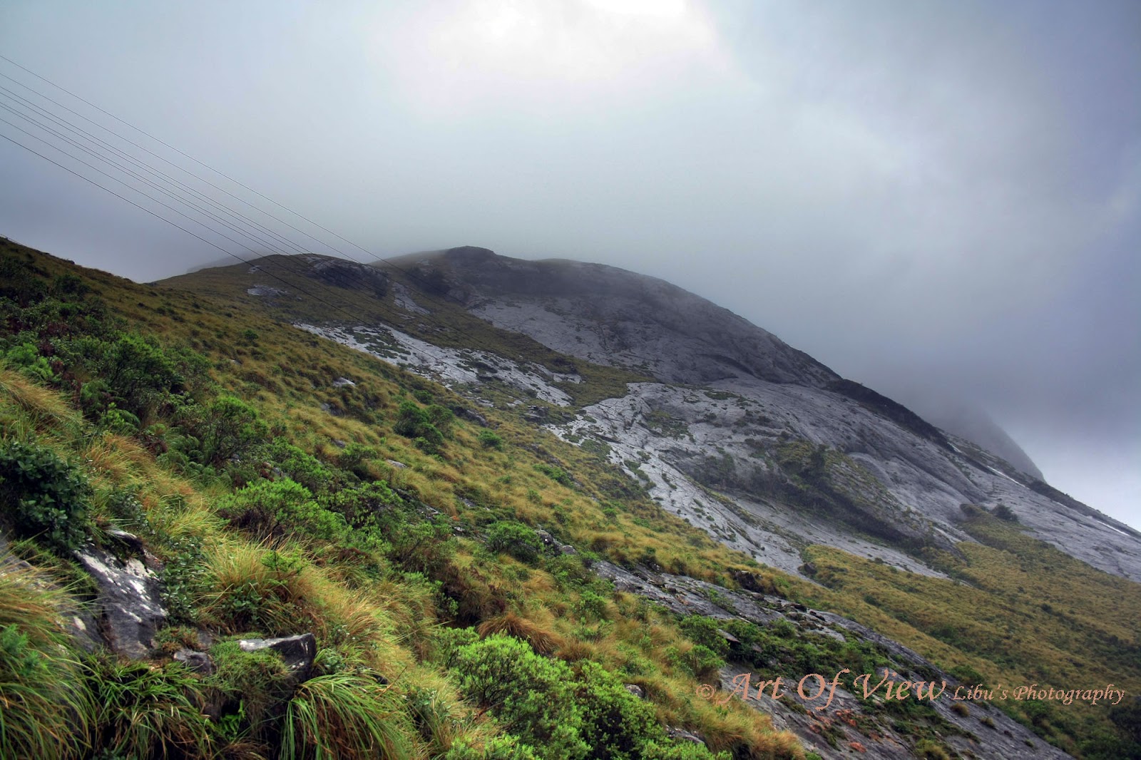 Raja Mala ( Eravikulam National Park) | Art Of View