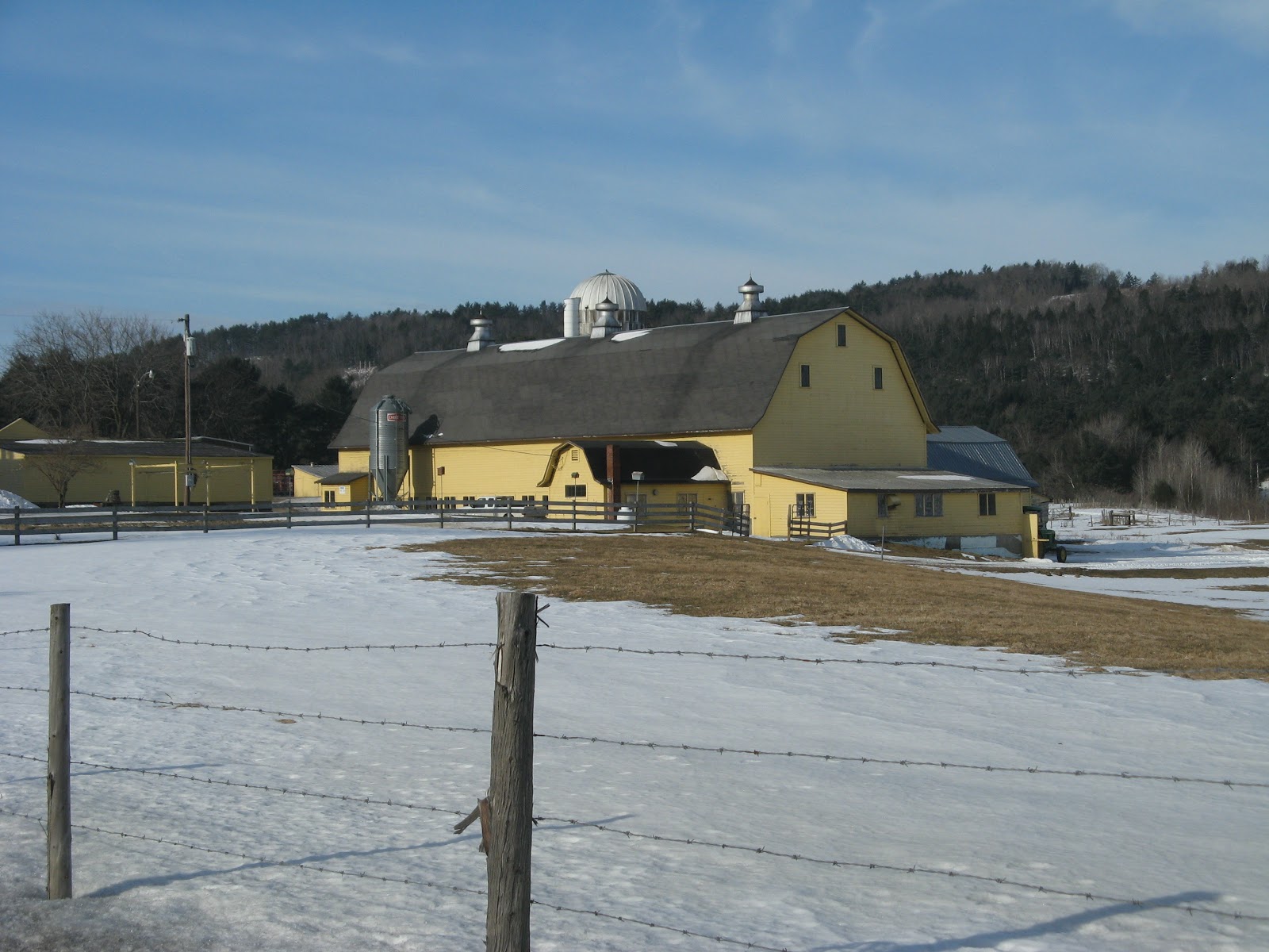 Animal Instinct: The Gold Barn