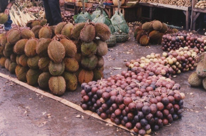 Basilan and Jolo: JOLO, SULU: Home of Matchless Resources