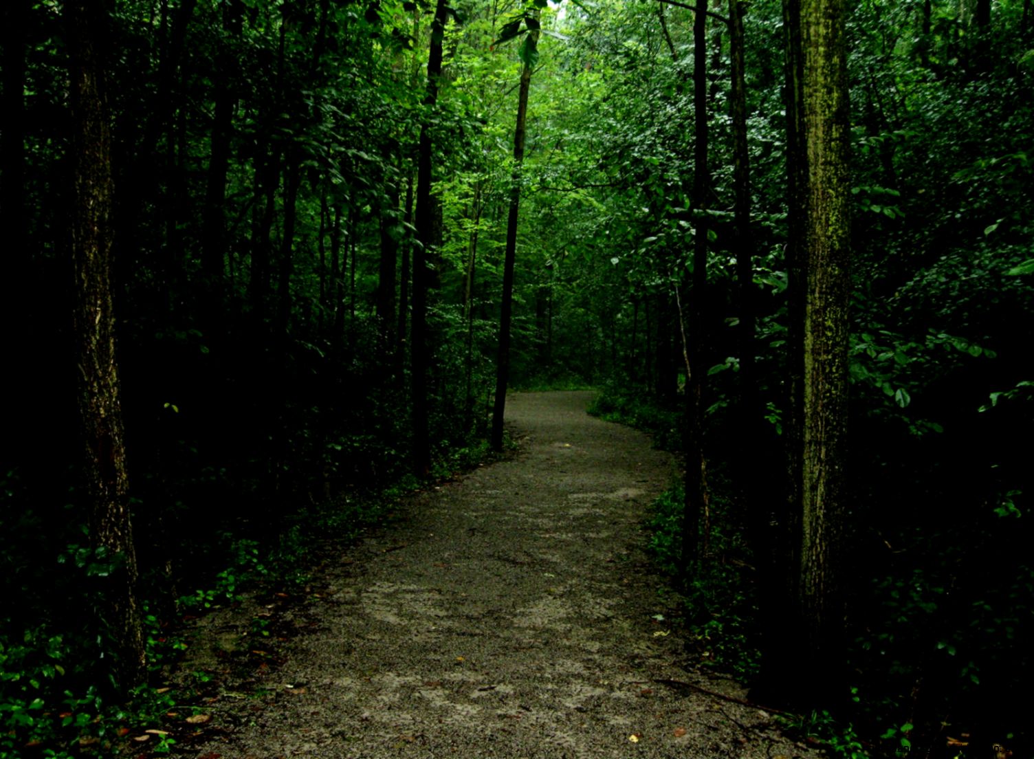 Dark Valley Path | Wallpapers Gallery