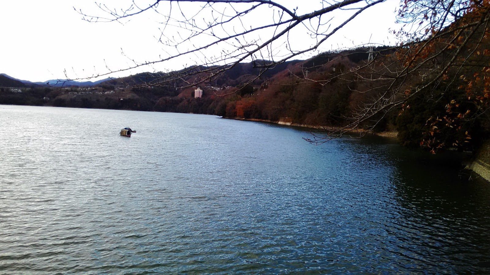 Adventure in Yokohama Citizen Forest: A Wild Water Chase around Mt ...