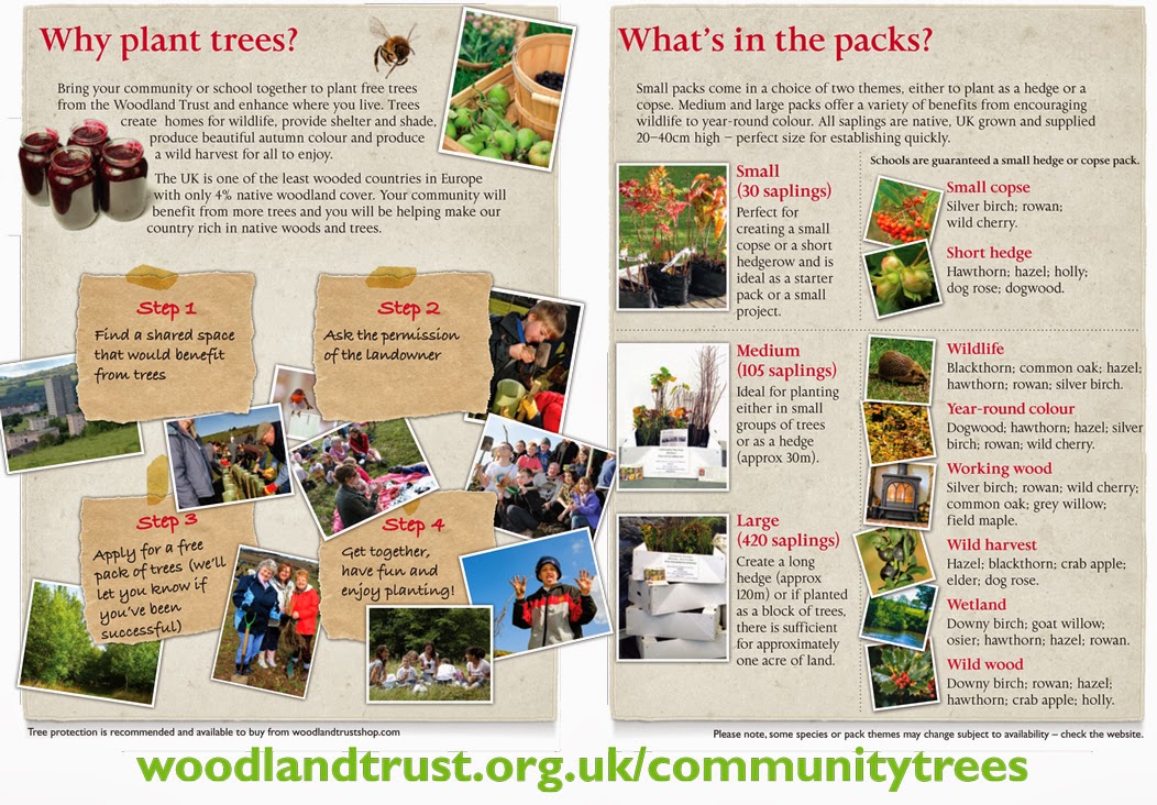 Wirral Wildlife Blog: Free Trees