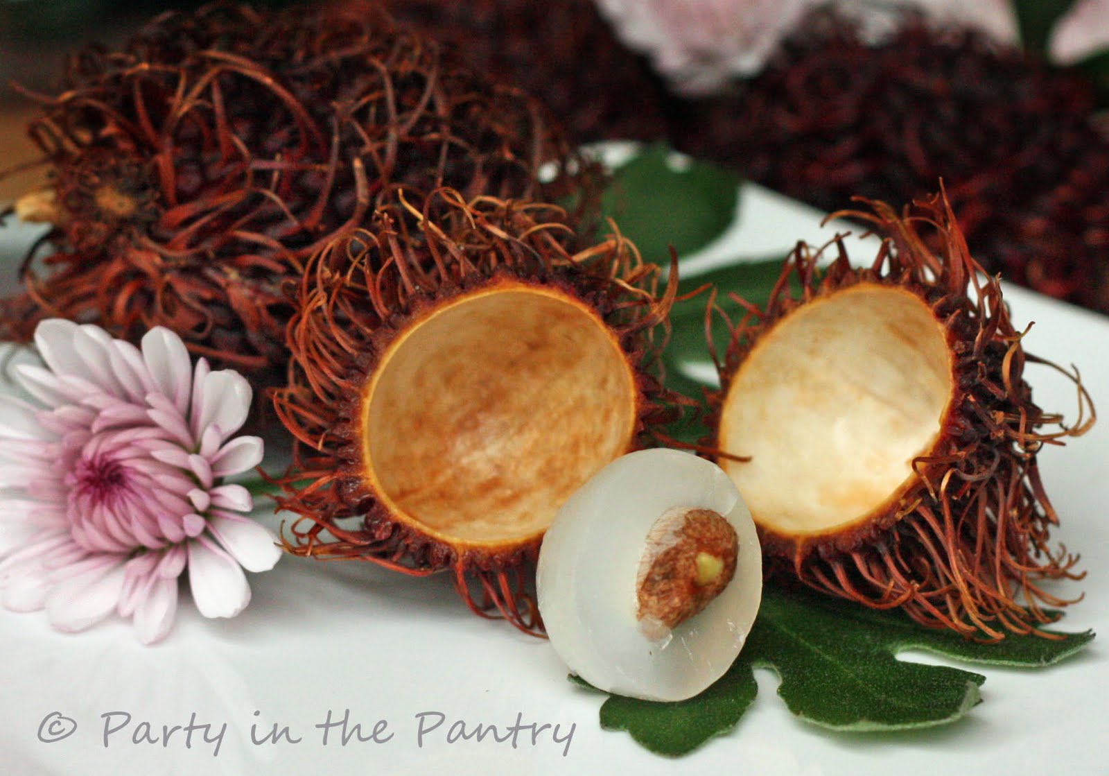 Party in the Pantry!