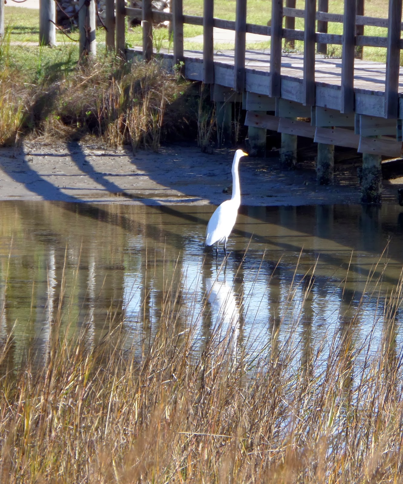 Cummings...and goings...: Bay View RV Resort, Rockport, TX – December 9 ...