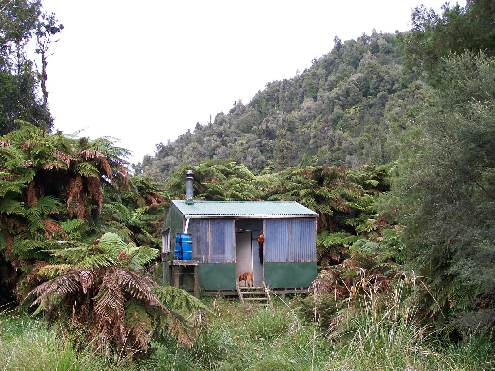 EDenzADventure: Mokau Boat Sojourn.