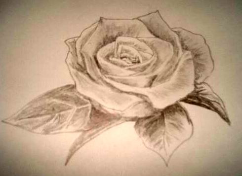 Most Beautiful Drawing in the World: How to draw beautiful Rose