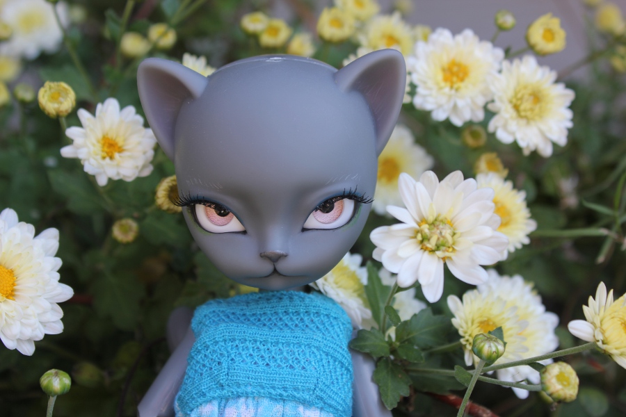 DollyPanic!: Review of Hujoo Freya