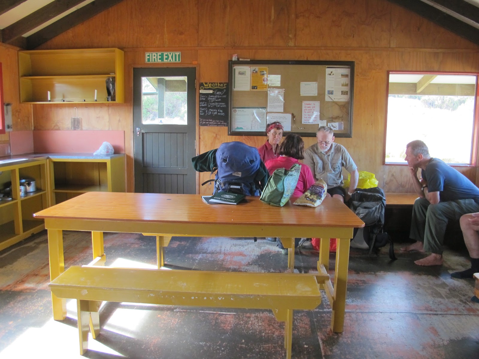 Come, walk with me.: Heaphy Track - day 2 Gouland Downs hut to Saxon Hut