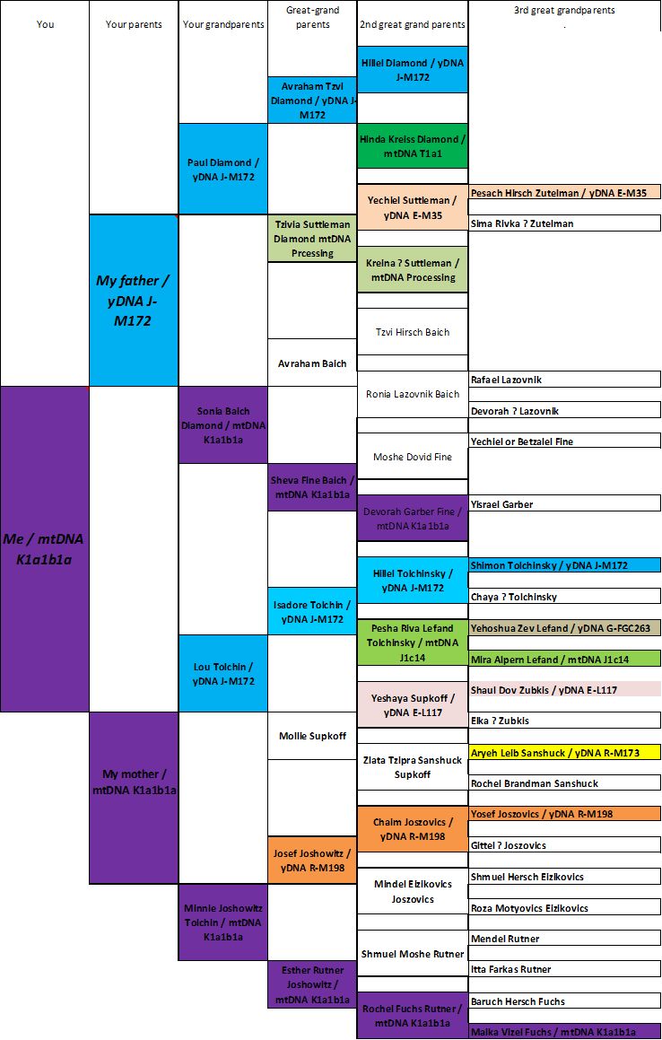 Lara's Jewnealogy: My Haplogroup Tree