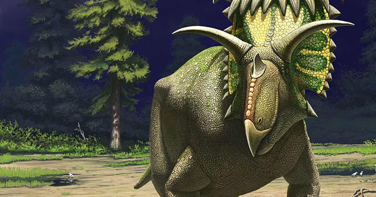 Tsunosaurus: Kosmoceratops (DESATUALIZADO)