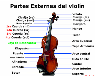 El blog ambulante: Partes del violin