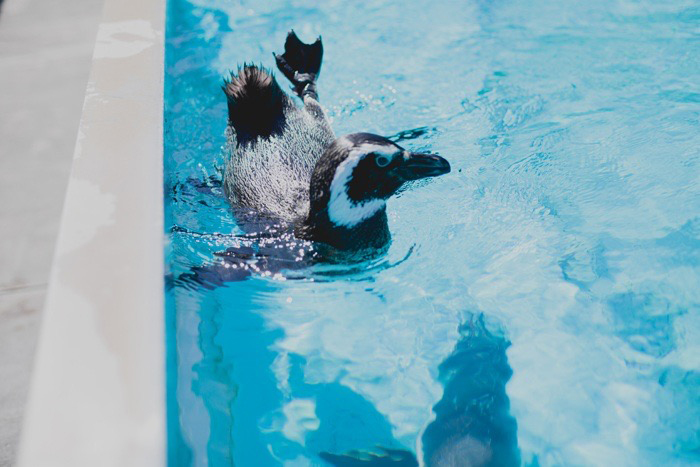 Burntfeather: Japan Road Trip: Beppu Rakutenchi + Sand Bath