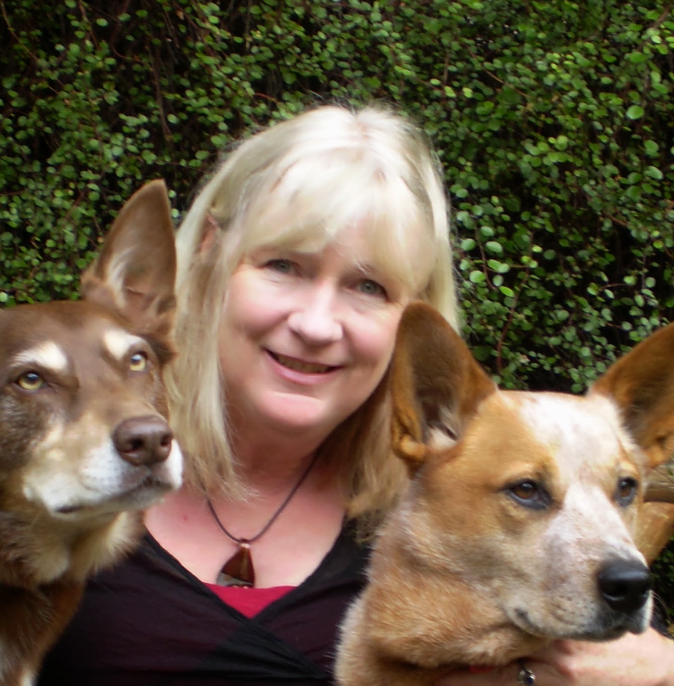 Kids' Book Review: 12 Curly Questions with author Meredith Costain