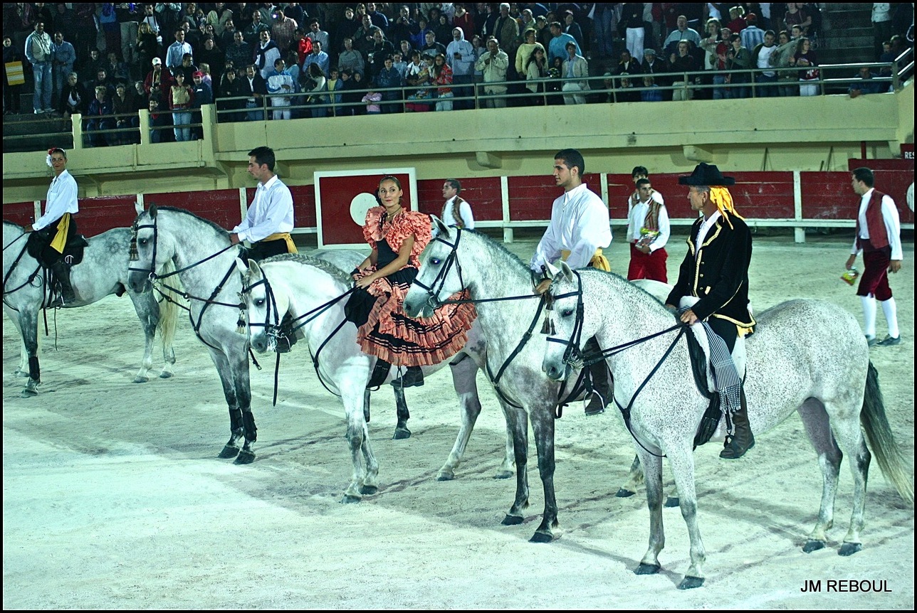 Musique & Nature zen: Feria du cheval.Spectacle équestre dans les arènes.