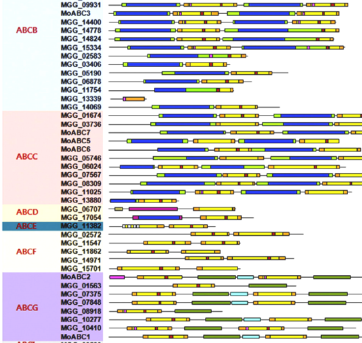 InterPro - Protein Domain Analysis InterPro - Protein Domain Analysis