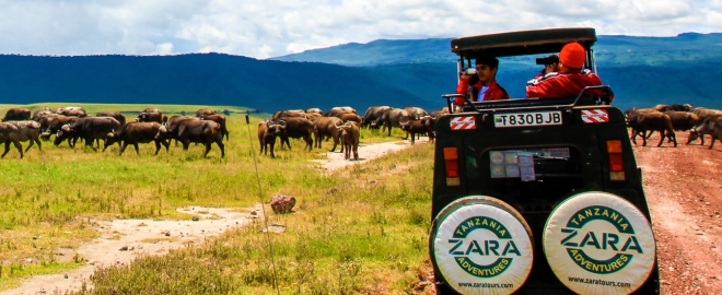ZARA’S NGORONGORO WILD CAMP IN NGORONGRO CONSERVATION AREA – TANZANIA ...