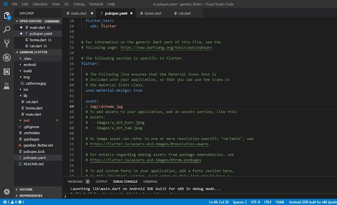 Cara Menampilkan Gambar pada Flutter dengan Penyimpanan Local dan ...