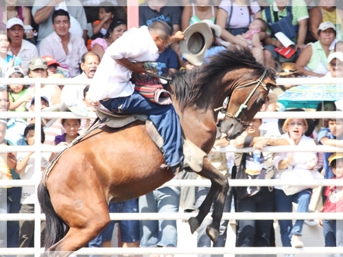 Grupos Etnicos del Ecuador: Montubio
