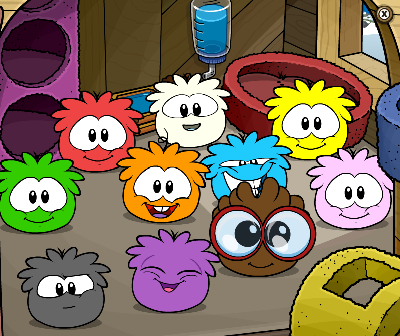 Guia de puffles | Trucos de Club Penguin::Club Penguin Teacher™