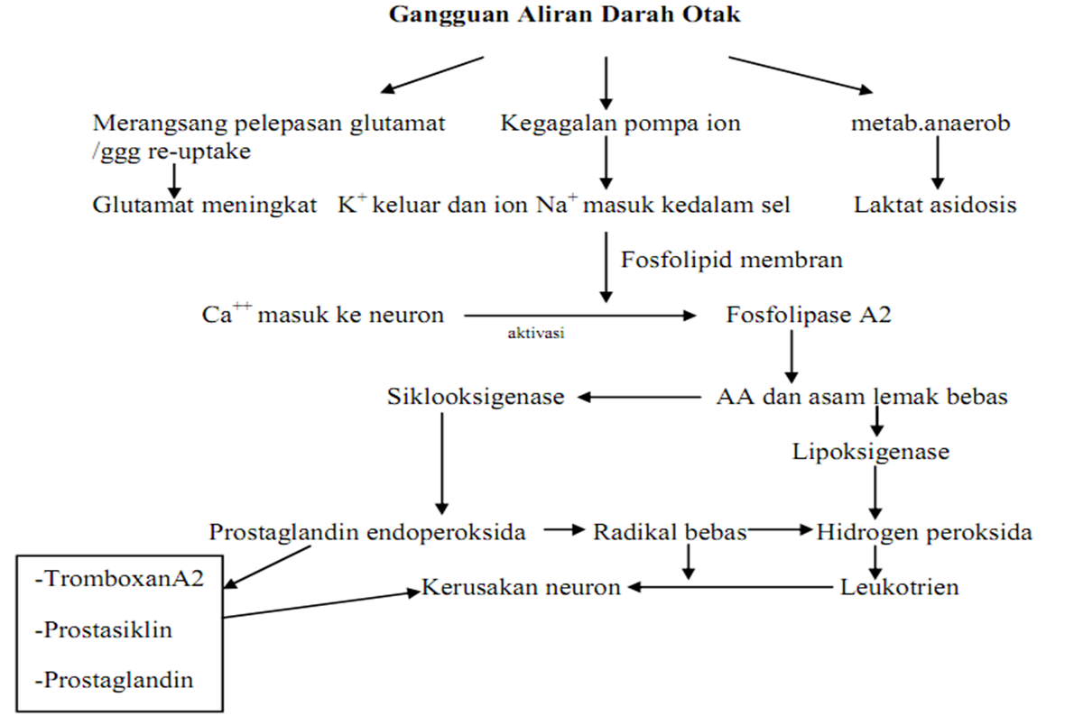 Gambar 1. Patofisiologi stroke iskemik