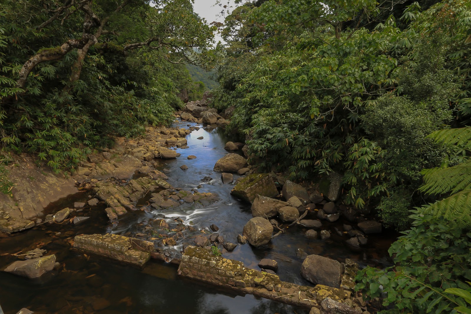 Tamilnadu Tourism: Kuthiravetti, Manjolai Hills