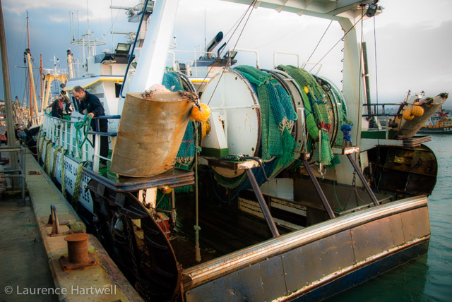 Through the Gaps! - Newlyn Fishing News: Plenty of high quality fish on ...