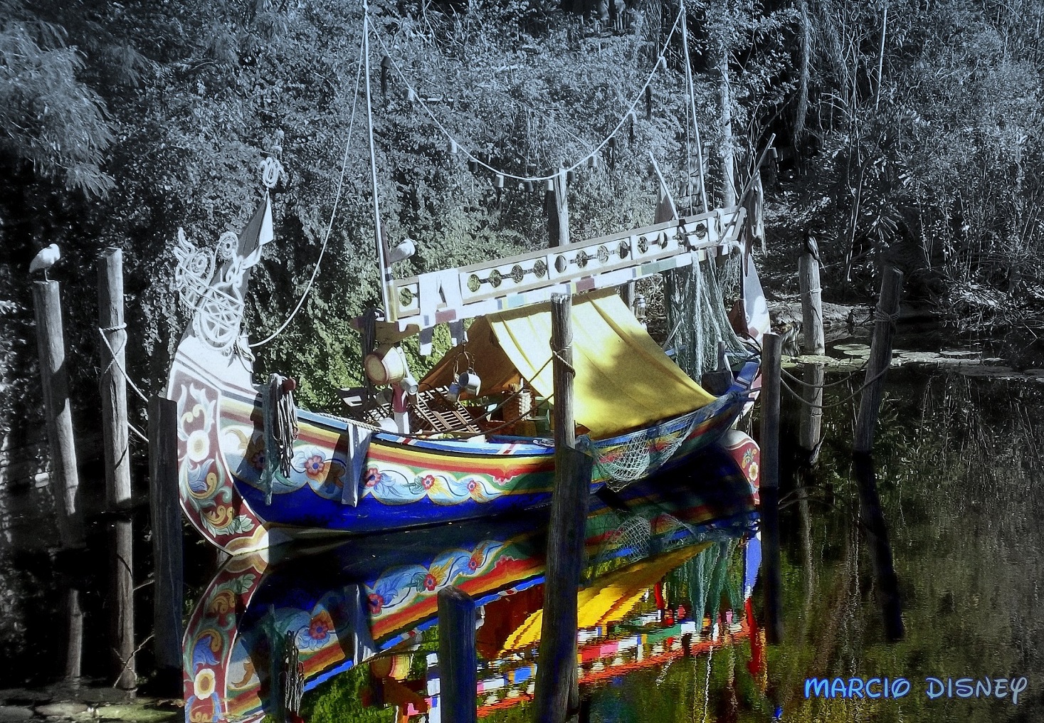 The Walt Disney World Picture of the Day: Boat in the Discovery River ...