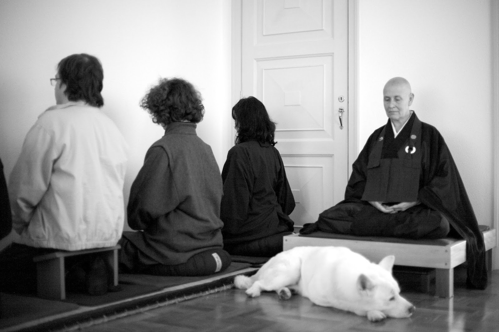 Zen Brasilia - meditação Zen Budista: Zazen