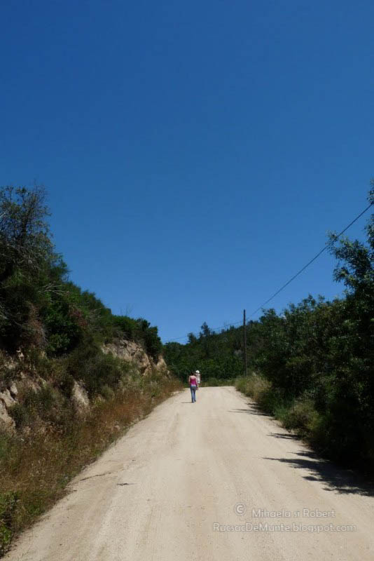 Rucsac de Munte: 2010.06.20 Spania Munti