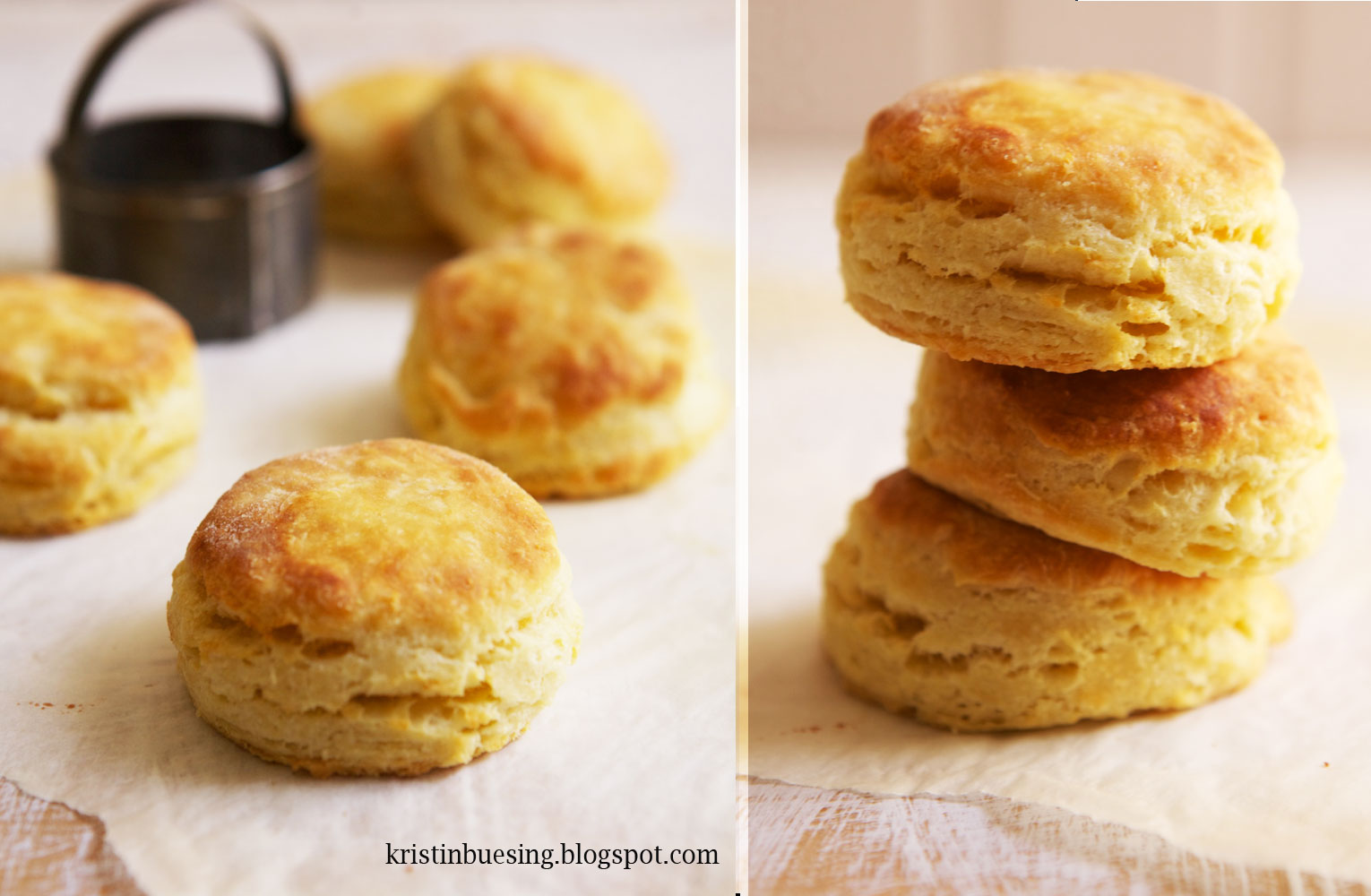 Kristin Buesing: Beautiful Scones - Daring Baker January Challenge