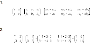 UNIDAD II - MATRICES