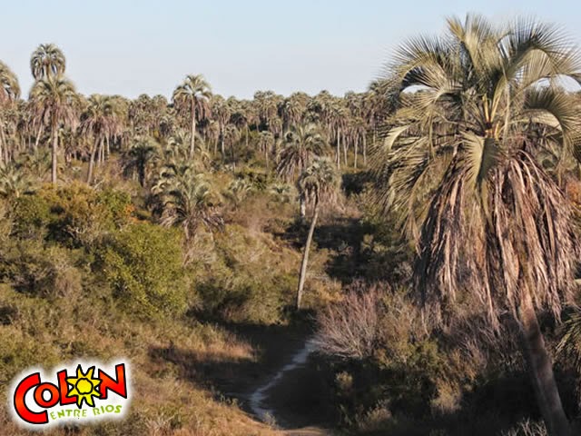 primaria digital "proyecto Parques Nacionales": IMÁGENES DE FLORA Y ...